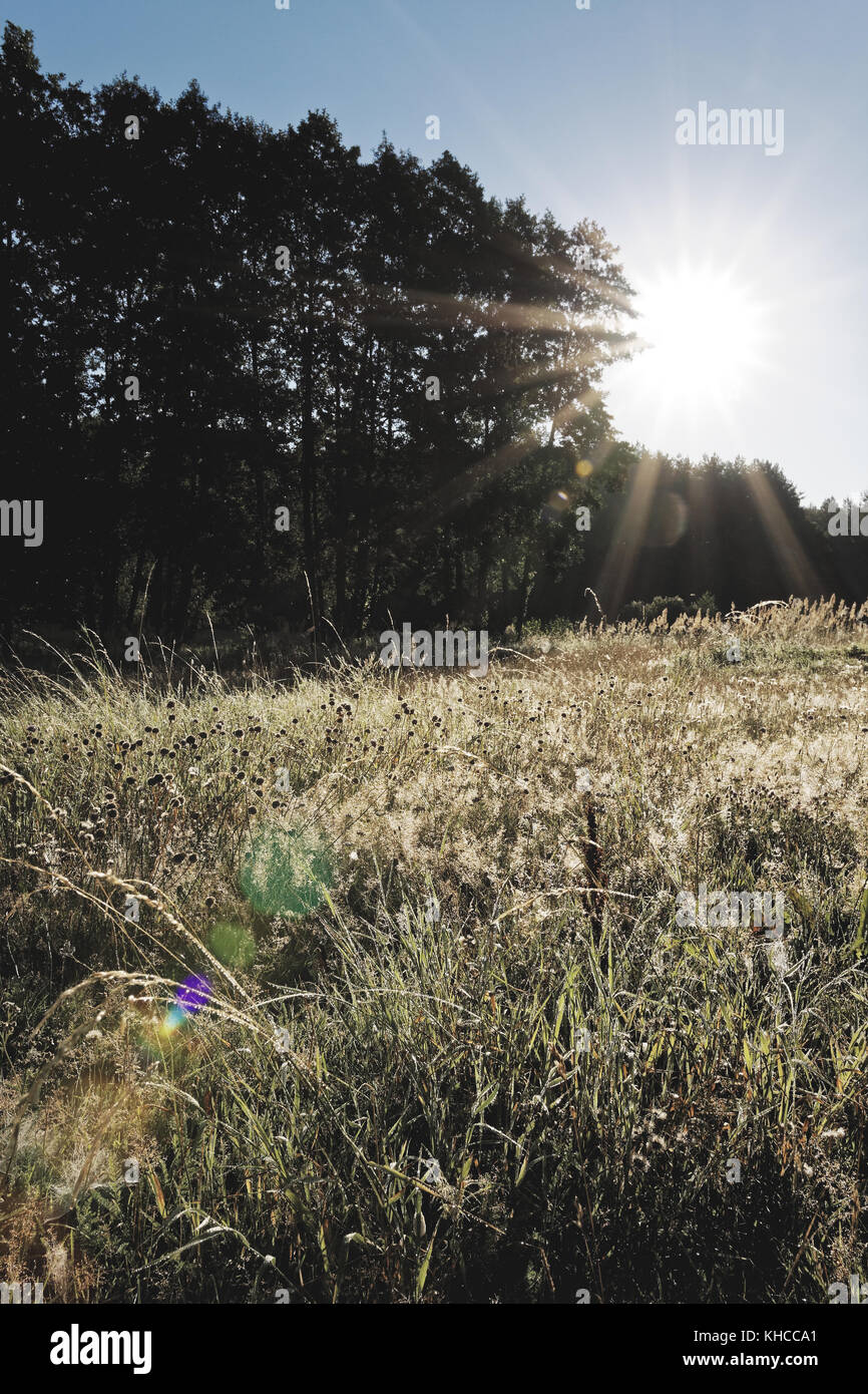 Sunrise in country Stock Photo - Alamy