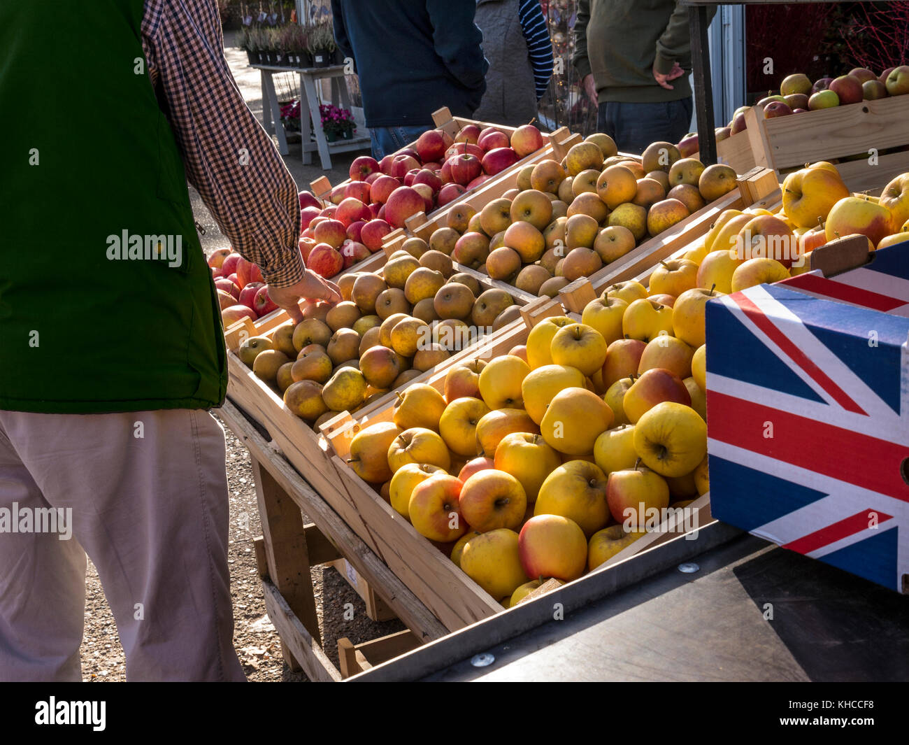 Buying UK browsing choosing British English produce apples at an ...