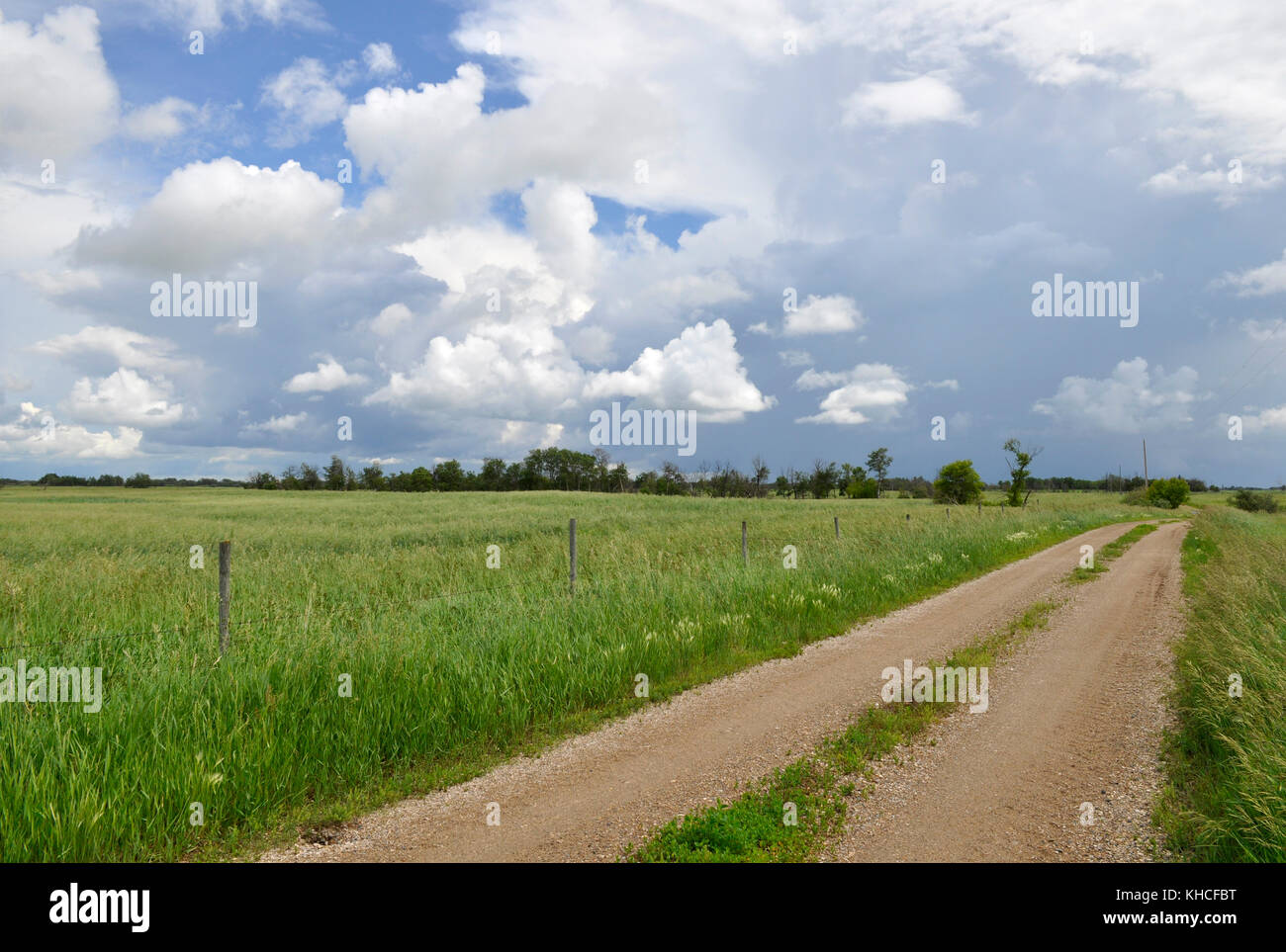 Farmland, green grass field with blue sky and clouds in Manitoba ...