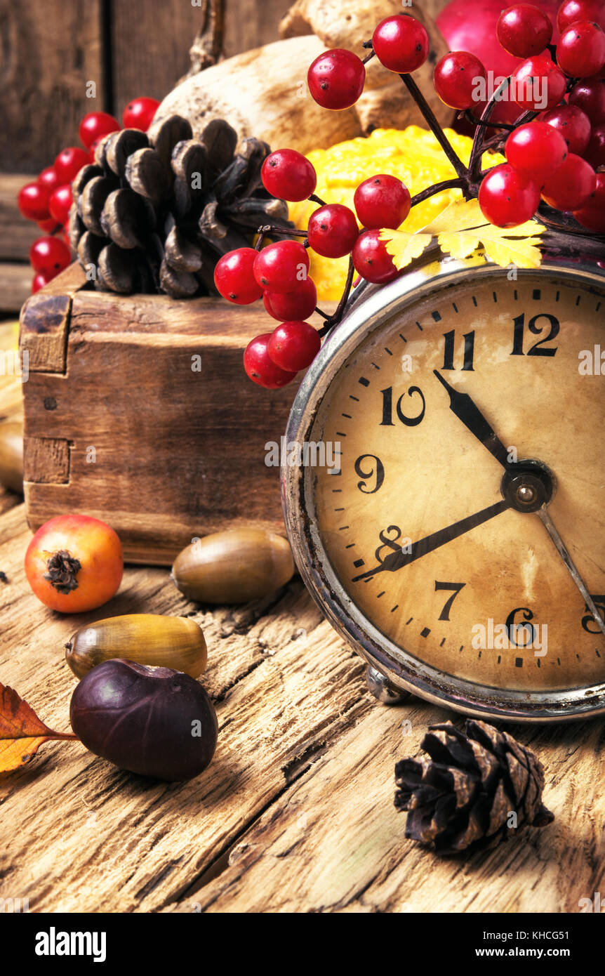 Retro clock, fallen autumn leaves, pine cone, acorn and viburnum Stock ...