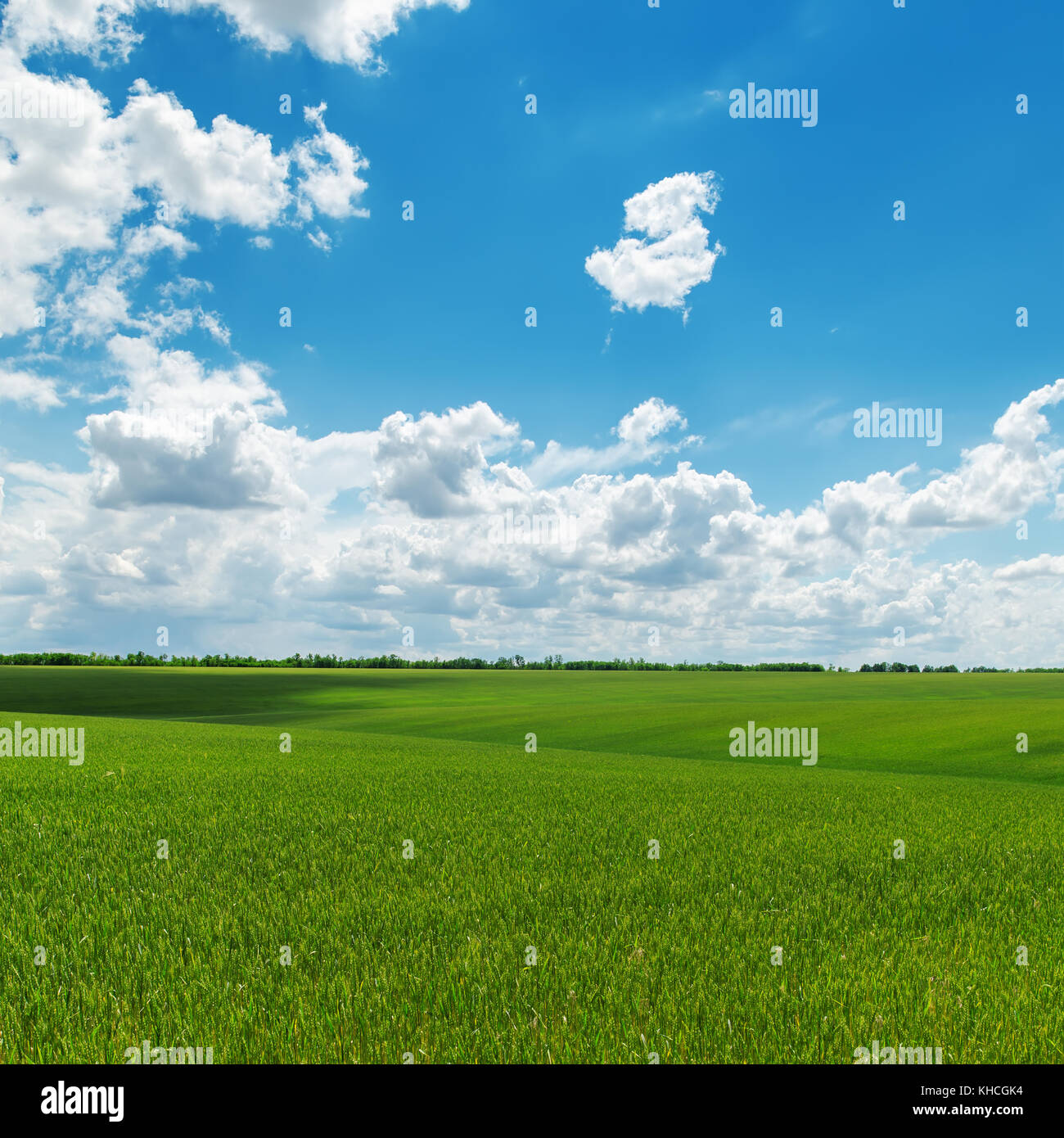 cloudy sky and green field Stock Photo - Alamy