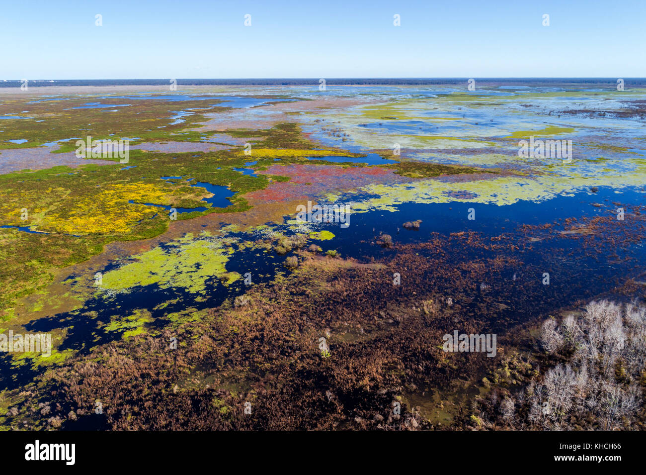 Savanna Basin Sink Freshwater Marsh High Resolution Stock Photography ...