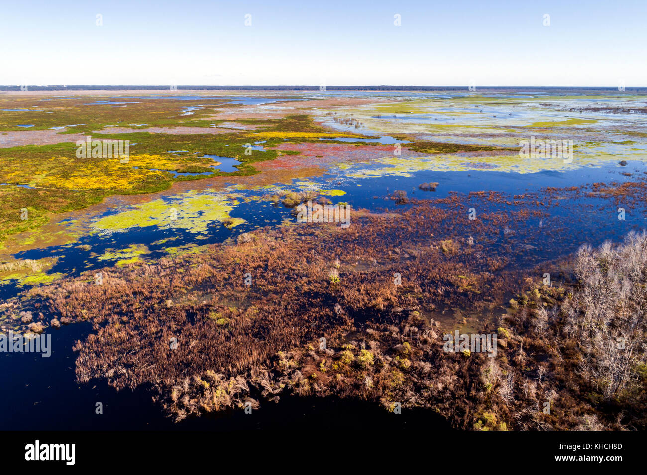 Gainesville Florida,Payne's Prairie Preserve State Park,savanna basin ...