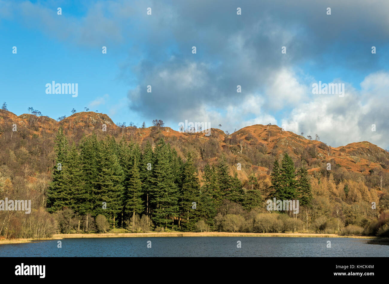 Fells at Yew Tree Tarn Lake District National Park Stock Photo - Alamy