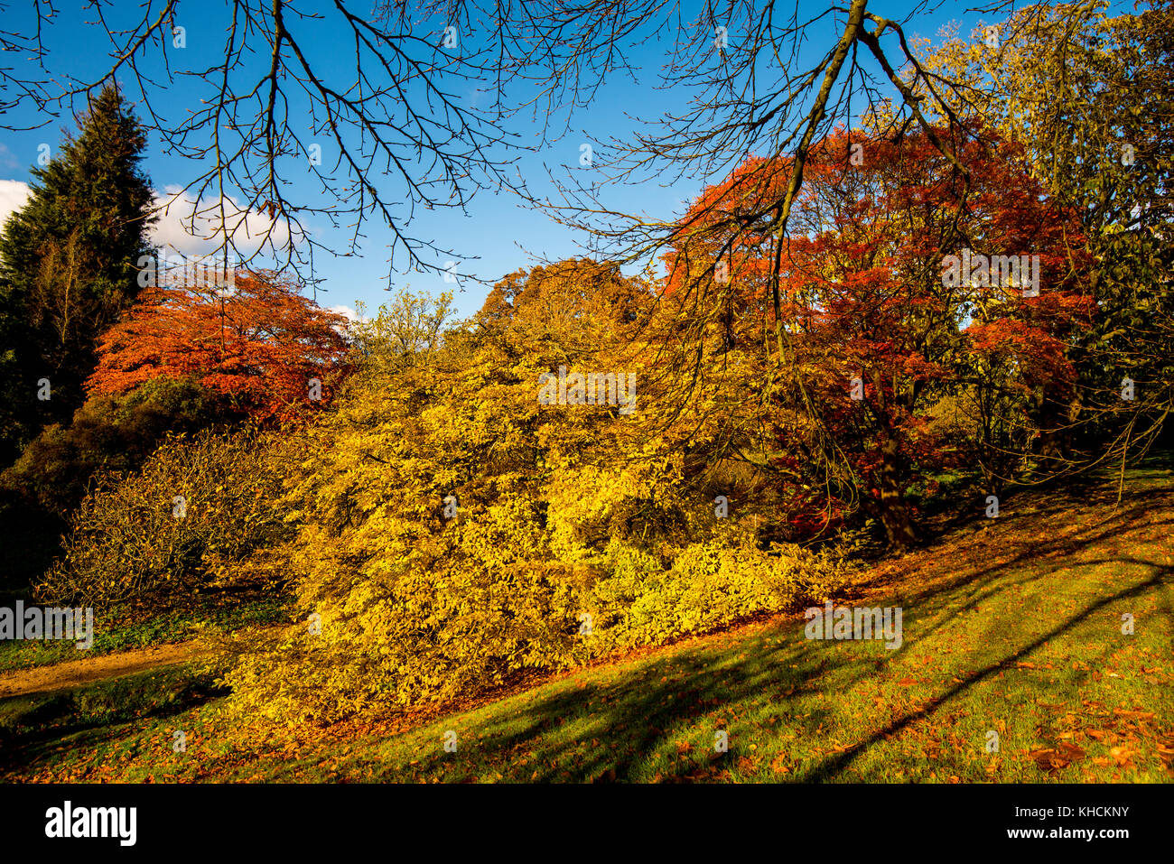 Wakehurst place lake hi-res stock photography and images - Alamy