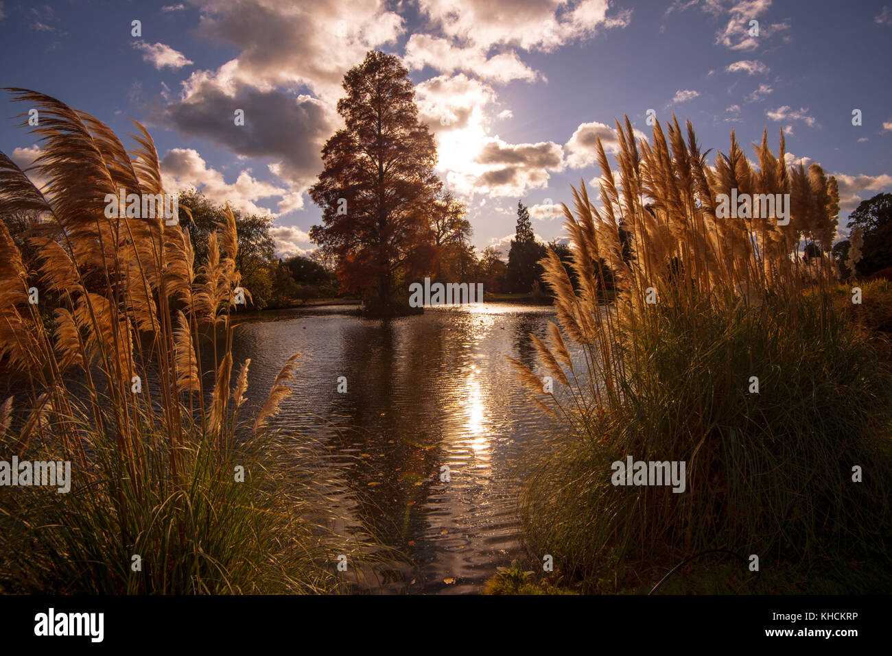 Wakehurst Place. Majestic Gardens with autumn gold and red colours ...