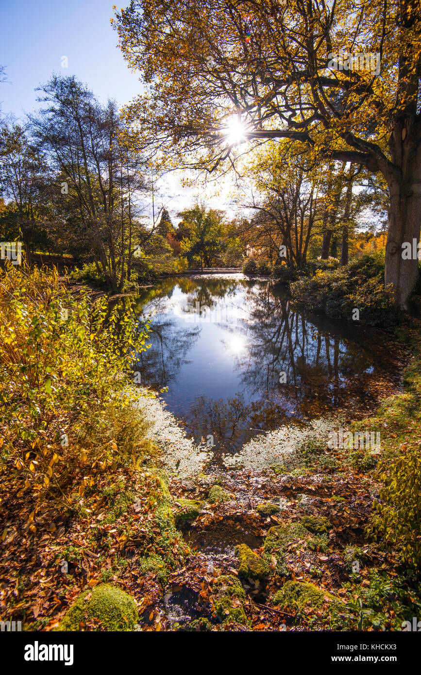 Wakehurst Place. Majestic Gardens with autumn gold and red colours ...
