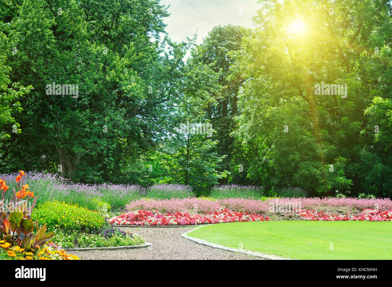 sunrise in beautiful summer park Stock Photo - Alamy