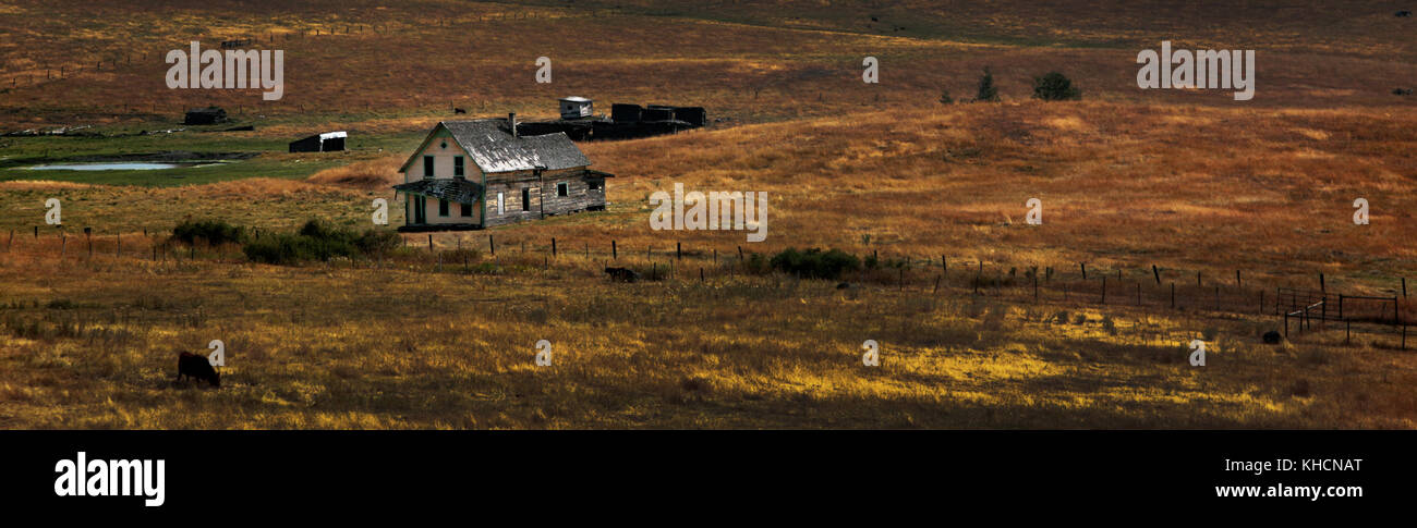 Rock Creek BC Canada's documentary look at how art of the landscape and ...