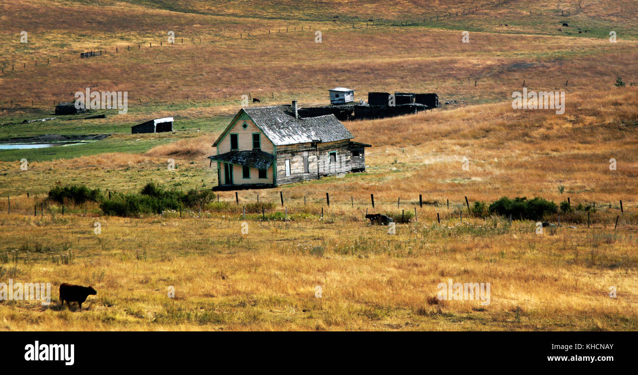 Rock Creek BC Canada's documentary look at how art of the landscape and ...