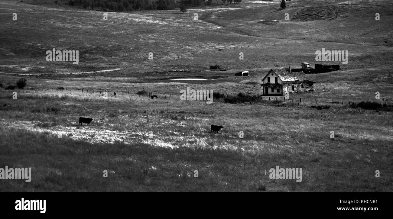 Rock Creek BC Canada's documentary look at how art of the landscape and ...