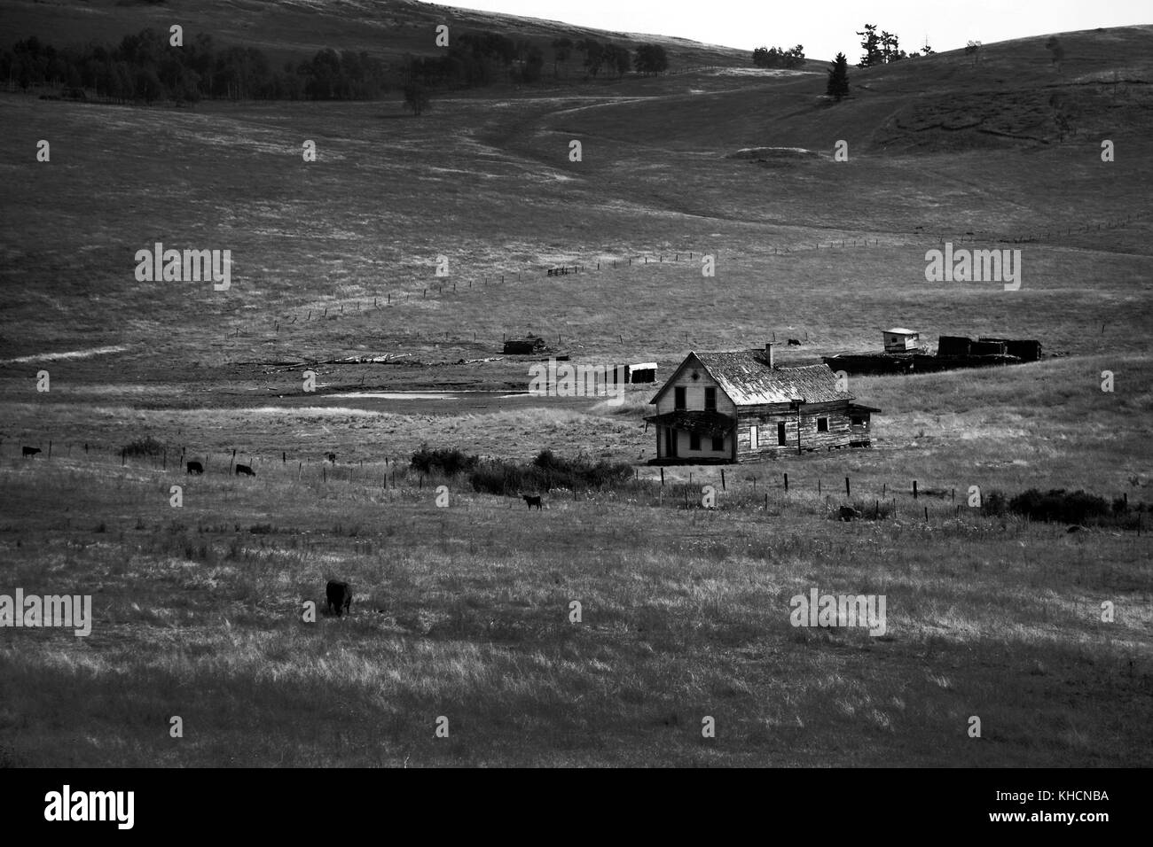 Rock Creek BC Canada's documentary look at how art of the landscape and ...