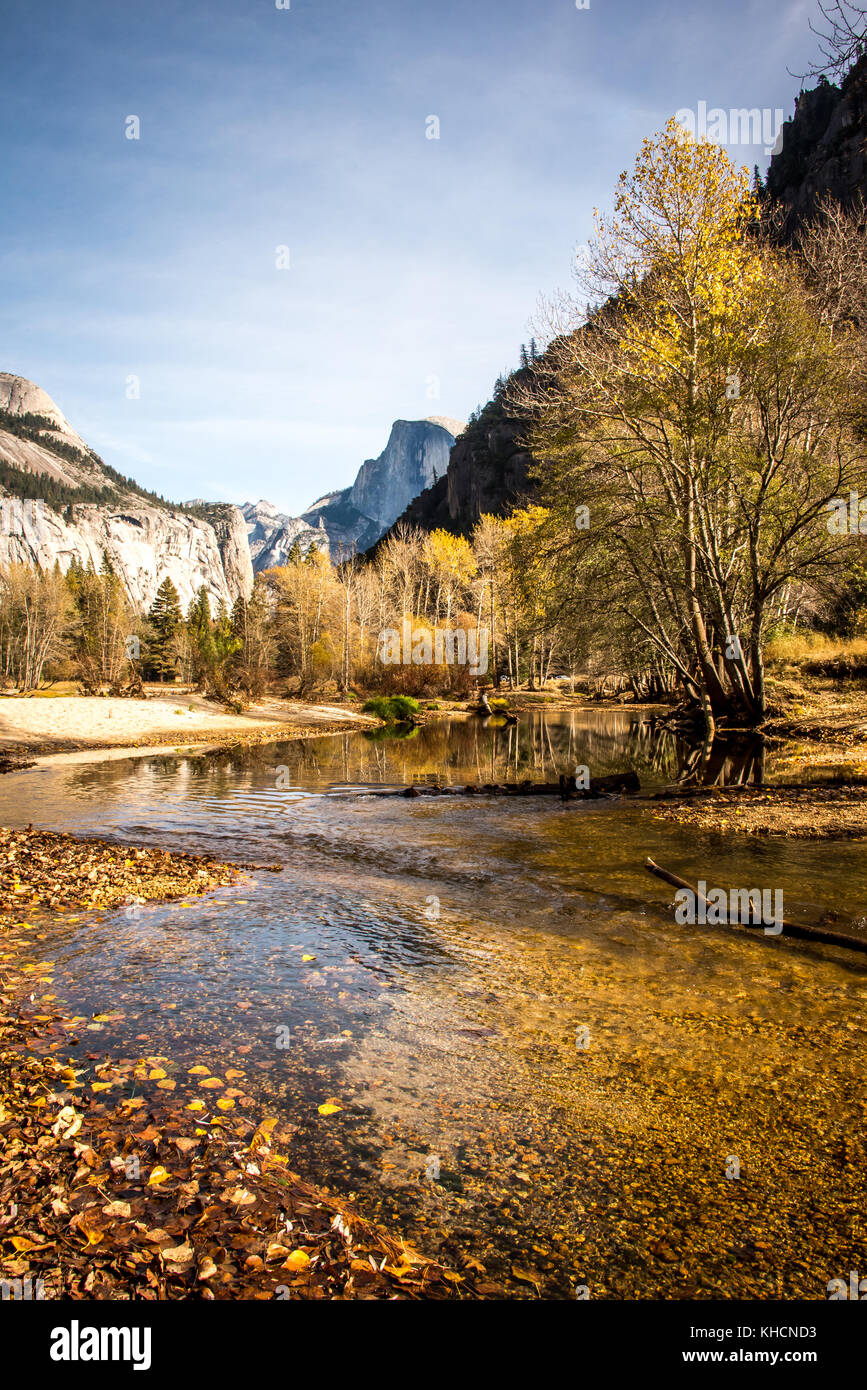 Autumn leaves at edge of Merced River in Yosemite Valley, with water ...