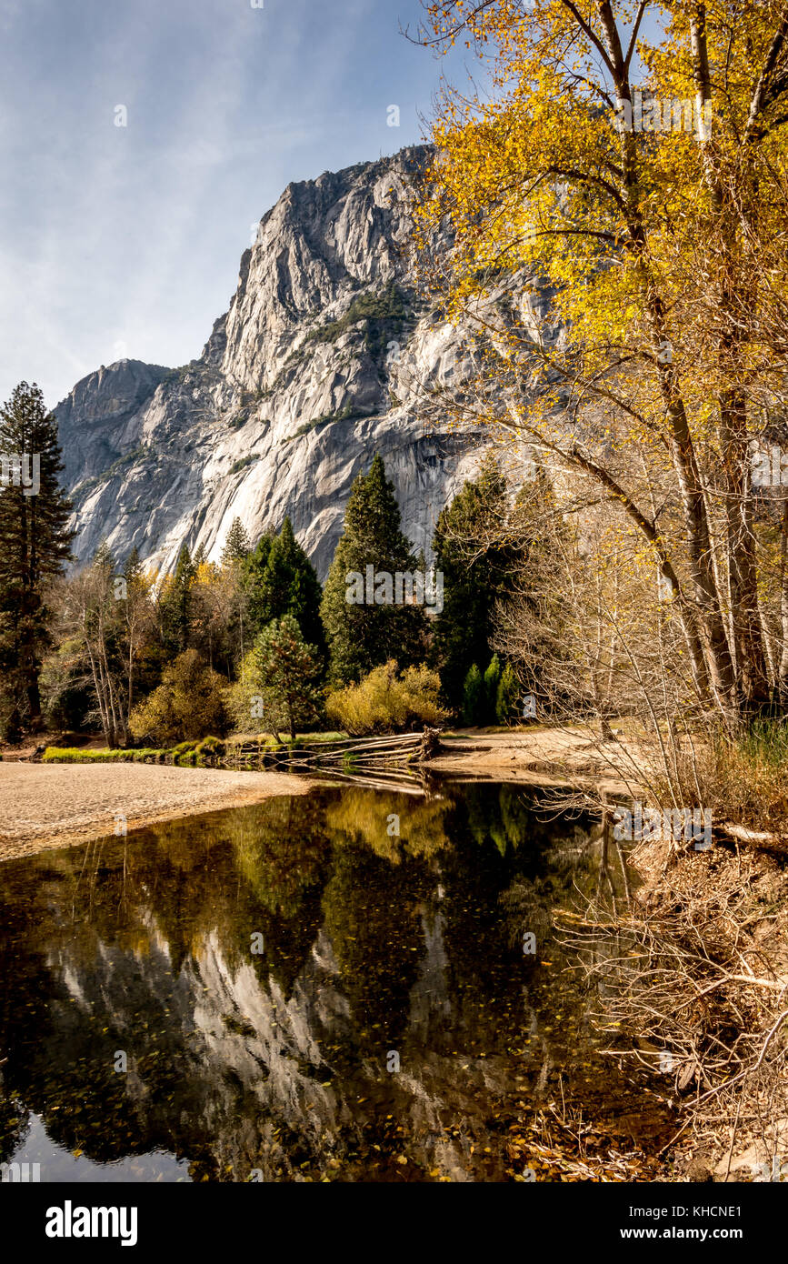 Yosemite Valley, granite mountain beside a yellow tree with reflection ...