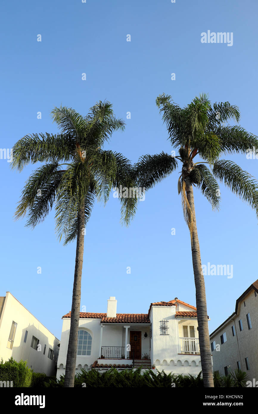 Los angeles palm trees hi-res stock photography and images - Alamy
