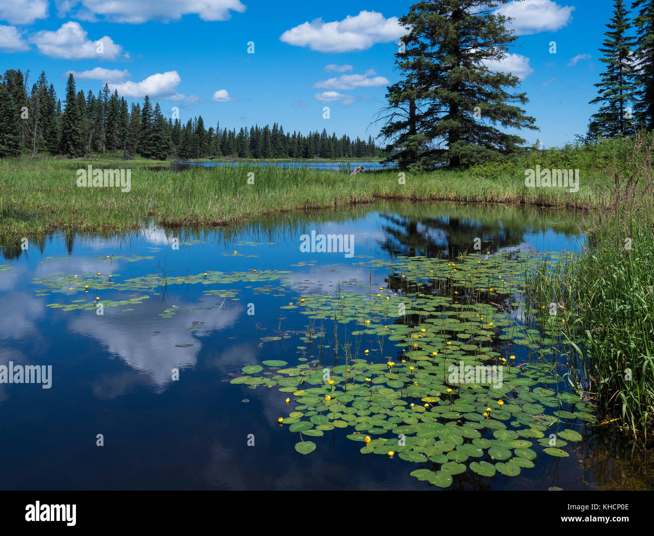 Lower end of Whirlpool Lake, Riding Mountain National Park, Manitoba ...