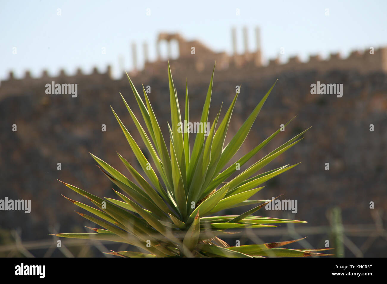 Greek landscape hi-res stock photography and images - Alamy