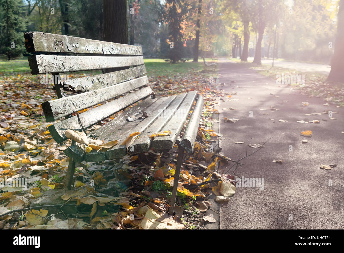 Outdoor Rustic Wooden Bench during Autumn Season Stock Photo - Alamy