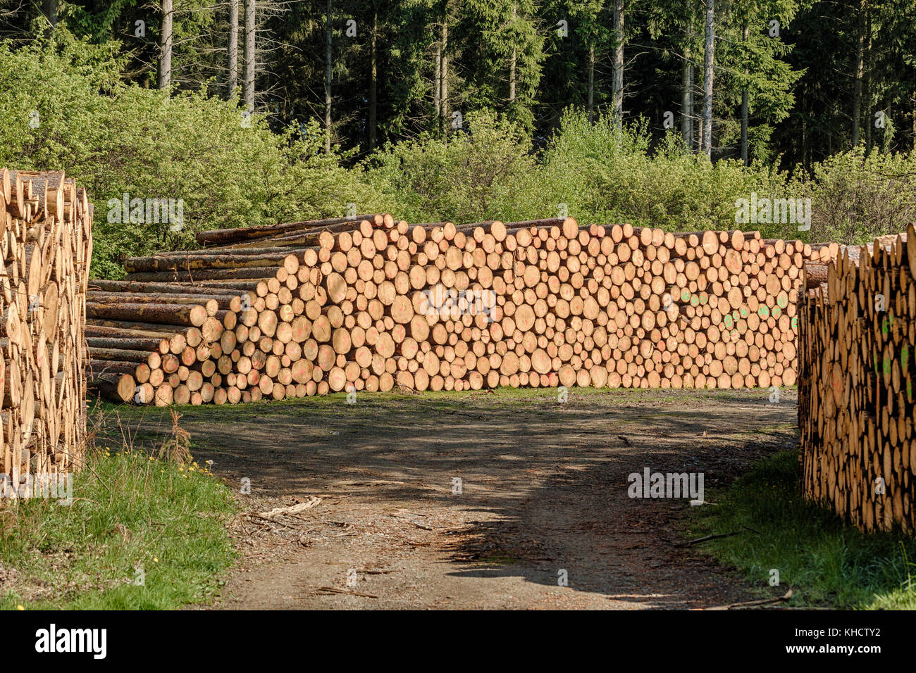 Holzstamm High Resolution Stock Photography and Images - Alamy