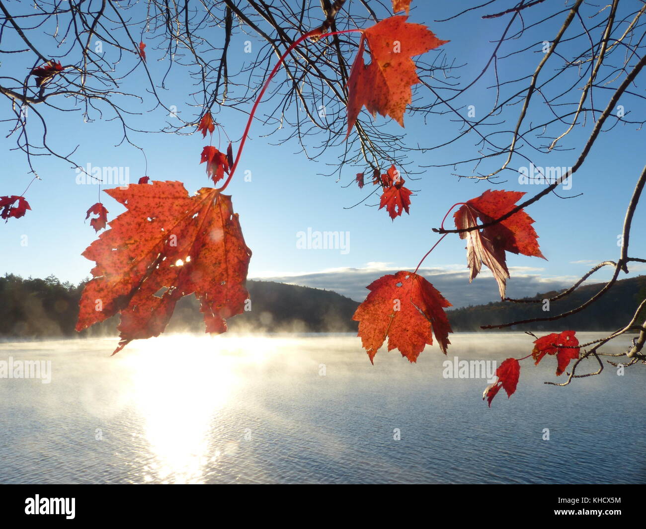 Red maple leaves during Indian Summer with lake Stock Photo - Alamy