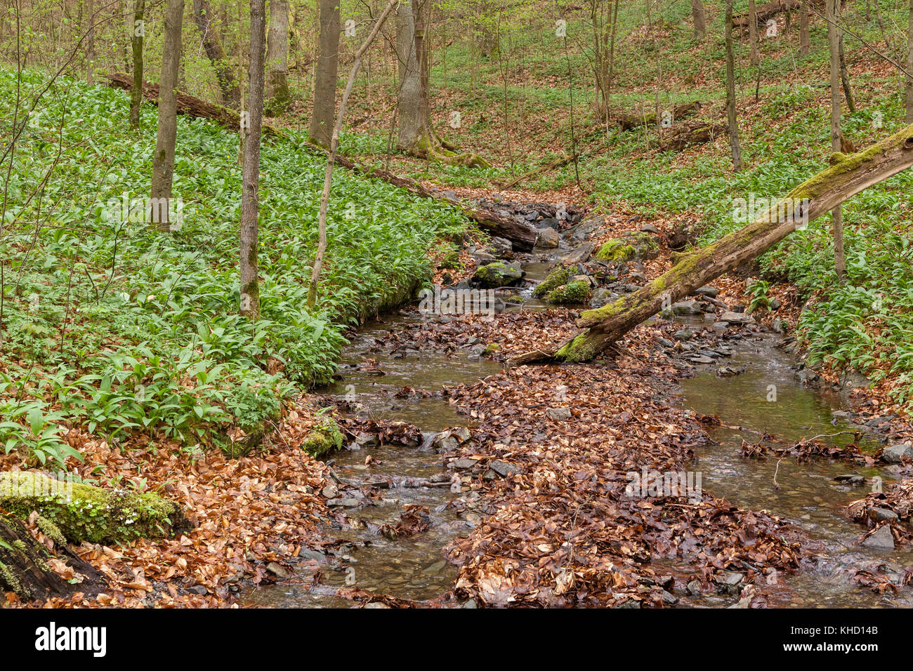 Zufluss hi-res stock photography and images - Alamy