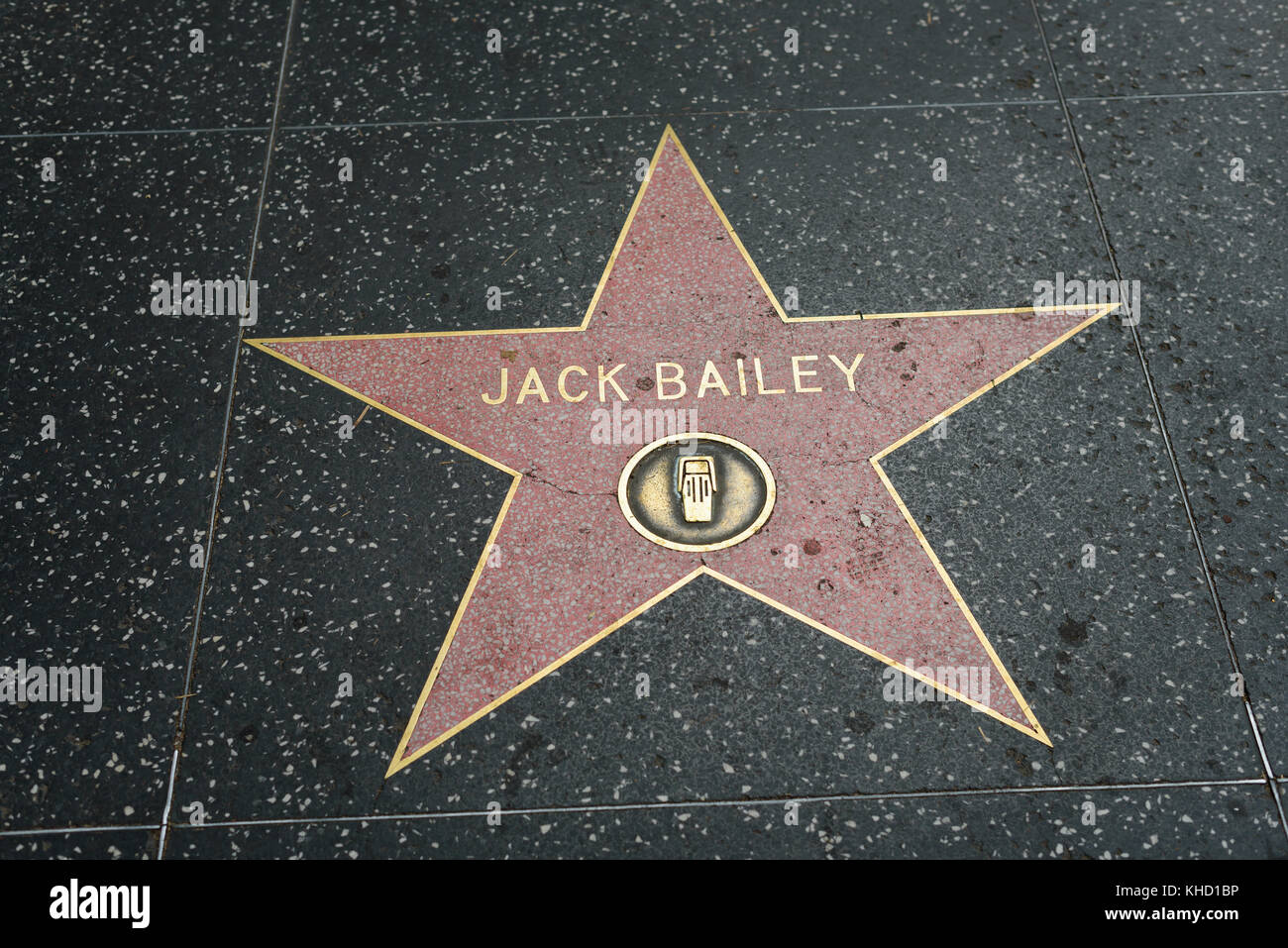 HOLLYWOOD, CA - DECEMBER 06: Jack Bailey star on the Hollywood Walk of ...