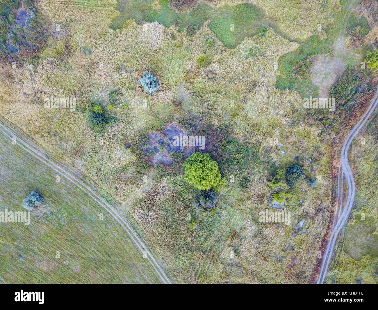 Forest and field with a trail aerial photography Stock Photo - Alamy