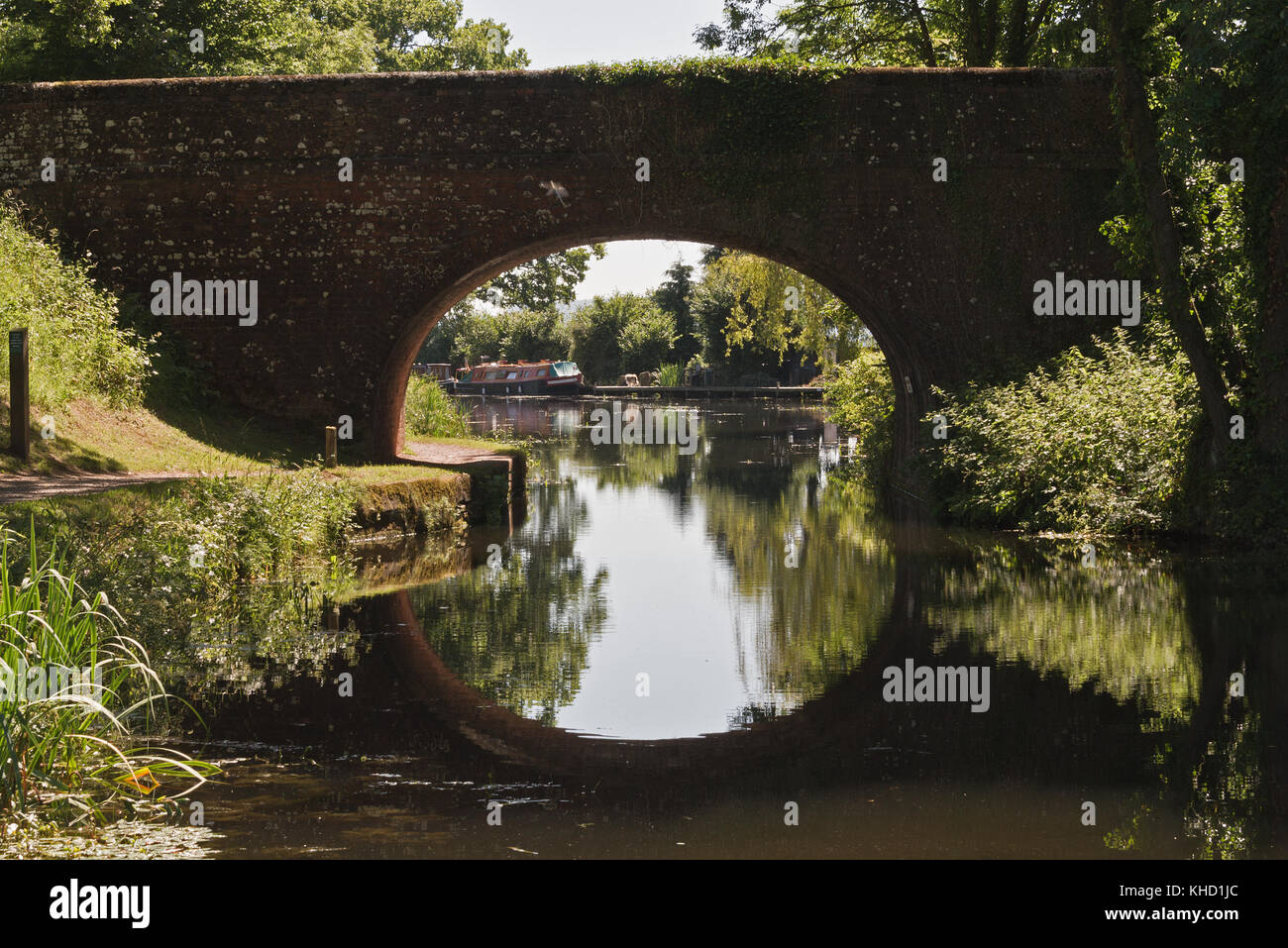 A summertime view along the Great Western Canal as it passes under ...