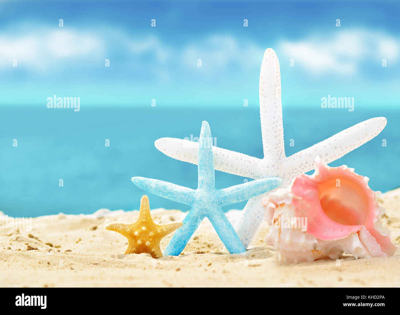 Starfish and seashells on sand beach hi-res stock photography and ...
