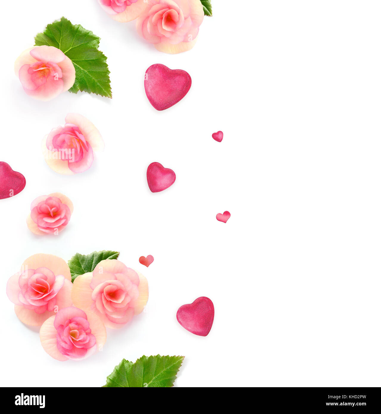 Various Red Flowers Head top view Isolated on White Background and red ...