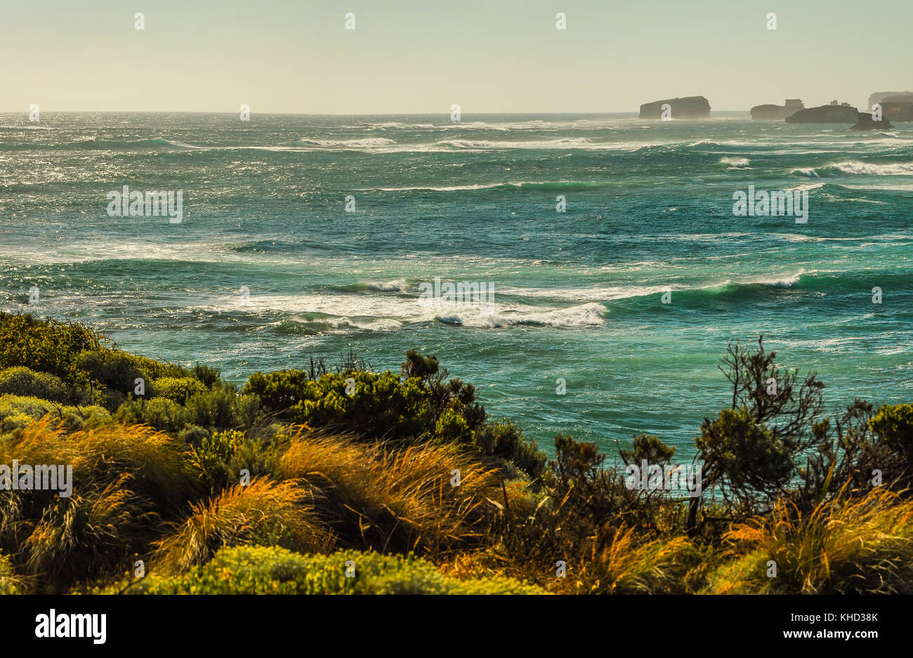 Shore of the Pacific ocean on a Sunny day Stock Photo - Alamy