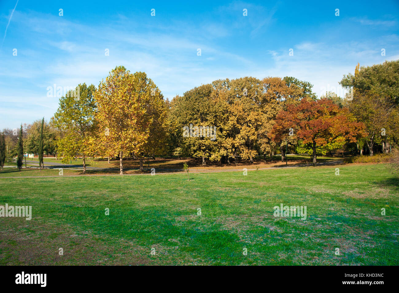 Novi sad park hi-res stock photography and images - Alamy