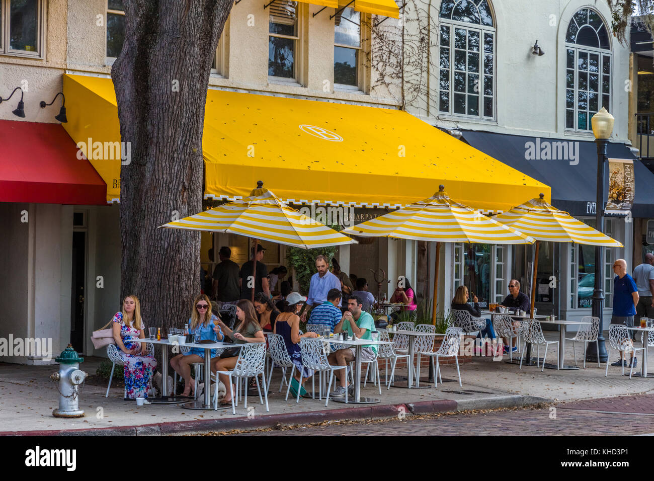 The winter park hi-res stock photography and images - Alamy