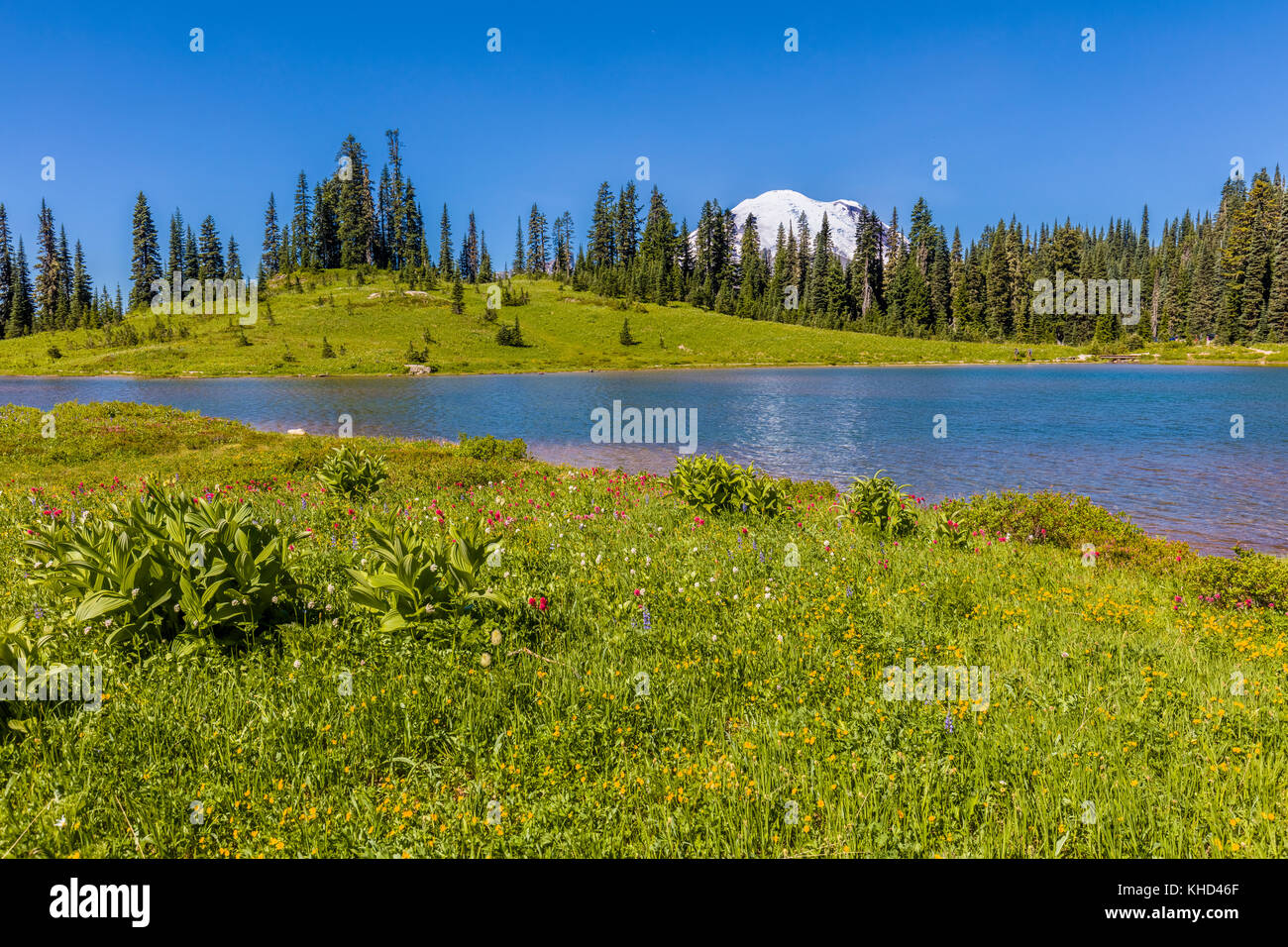 Tipsoo Lake in Mount Rainier National Park WAshington United States ...