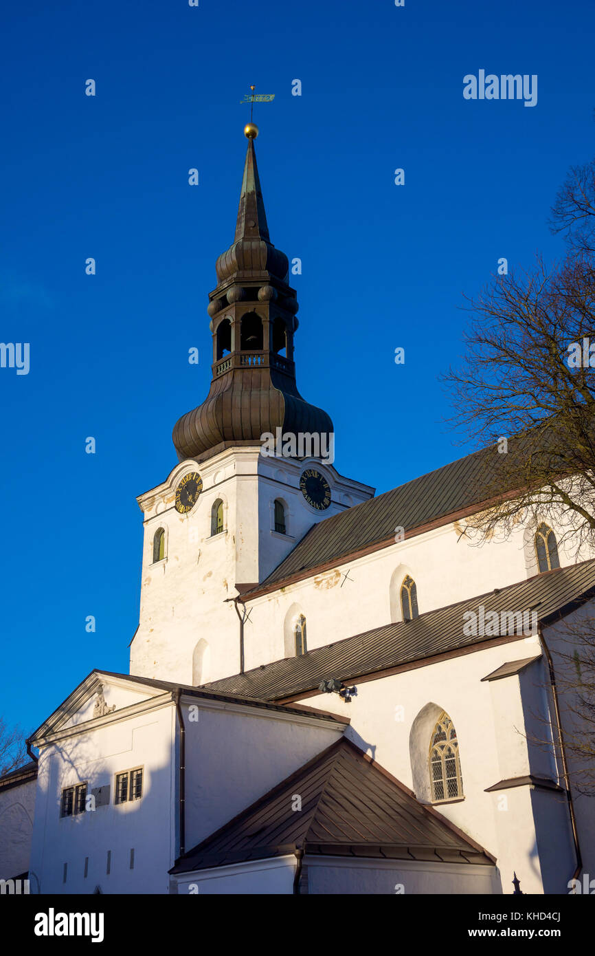 St Mary's Cathedral in old city Stock Photo - Alamy