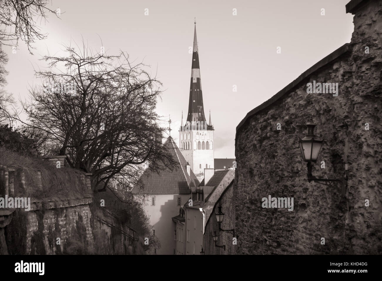 Tallinn, Estonia old city landscape Stock Photo - Alamy