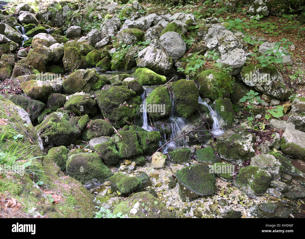 small source of pure fresh water in the mountains Stock Photo - Alamy