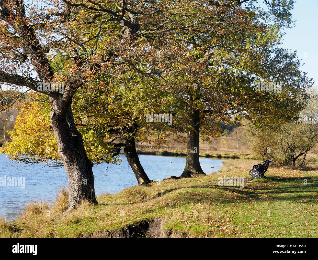 Longmore Pool, Sutton Park, Sutton Coldfield, West Midlands Stock Photo ...