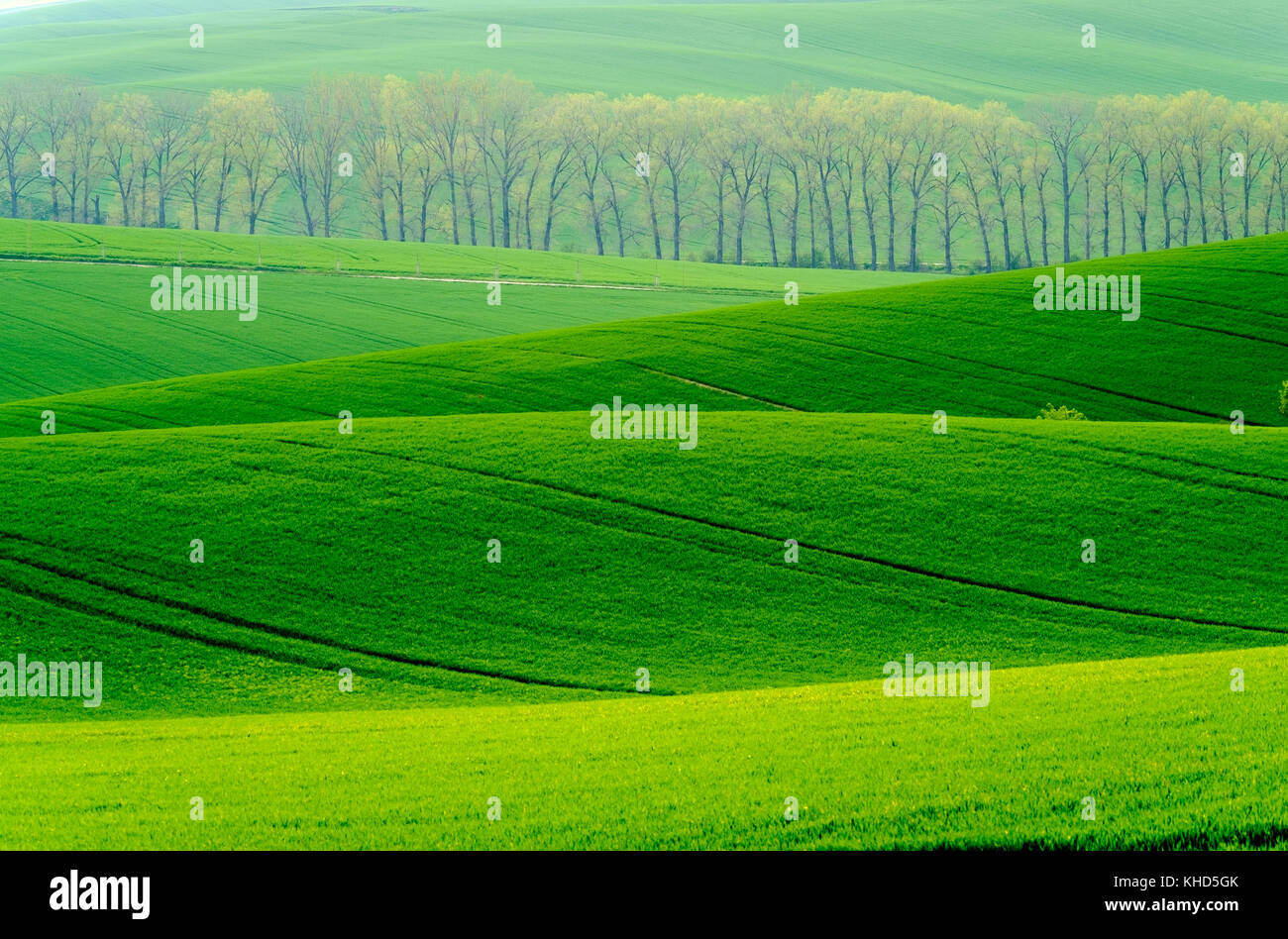 Green wavy hills in South Moravia Stock Photo - Alamy
