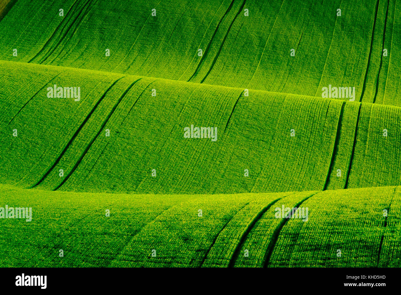 Green wavy hills in South Moravia Stock Photo - Alamy
