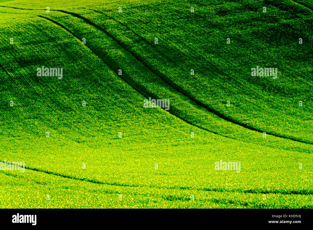 Green wavy hills in South Moravia Stock Photo - Alamy