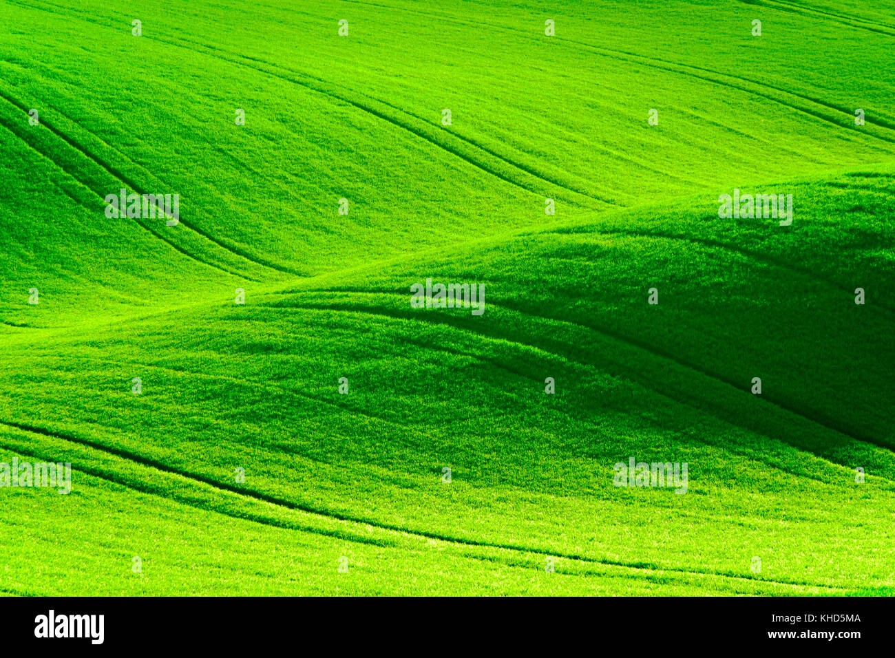 Green wavy hills in South Moravia Stock Photo - Alamy