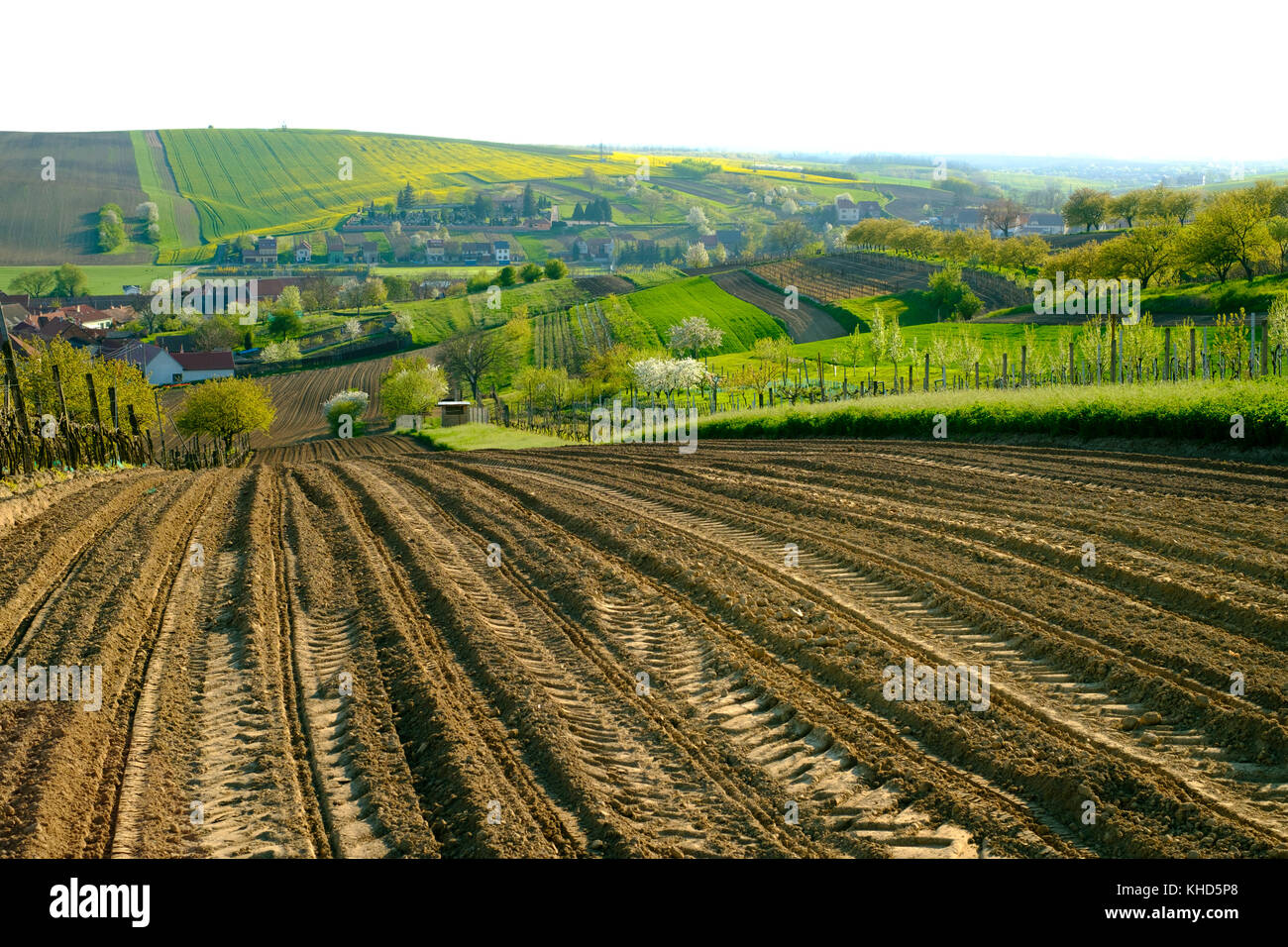 Rural landscape in countryside in South Moravia Stock Photo - Alamy