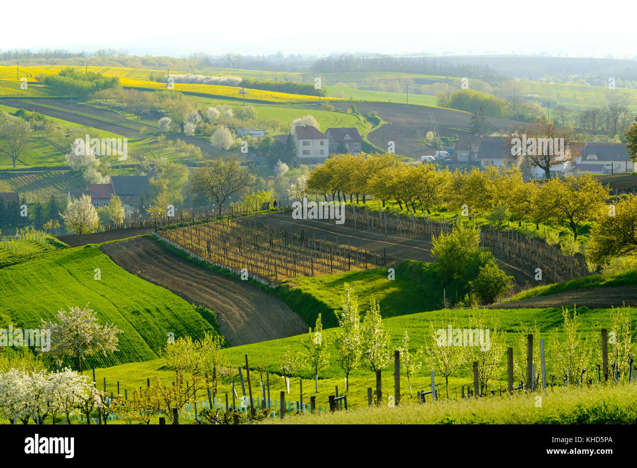 Rural landscape in countryside in South Moravia Stock Photo - Alamy