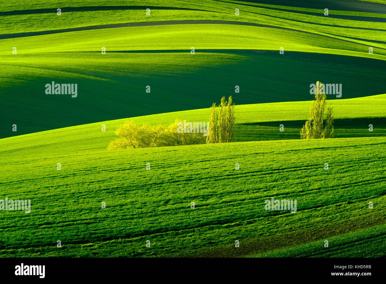 Green wavy hills in South Moravia Stock Photo - Alamy