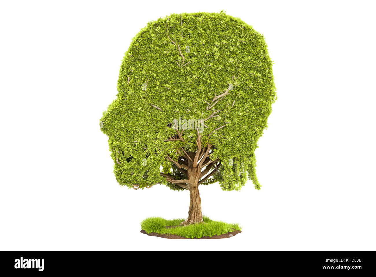 Human head shaped tree, 3D rendering isolated on white background Stock ...