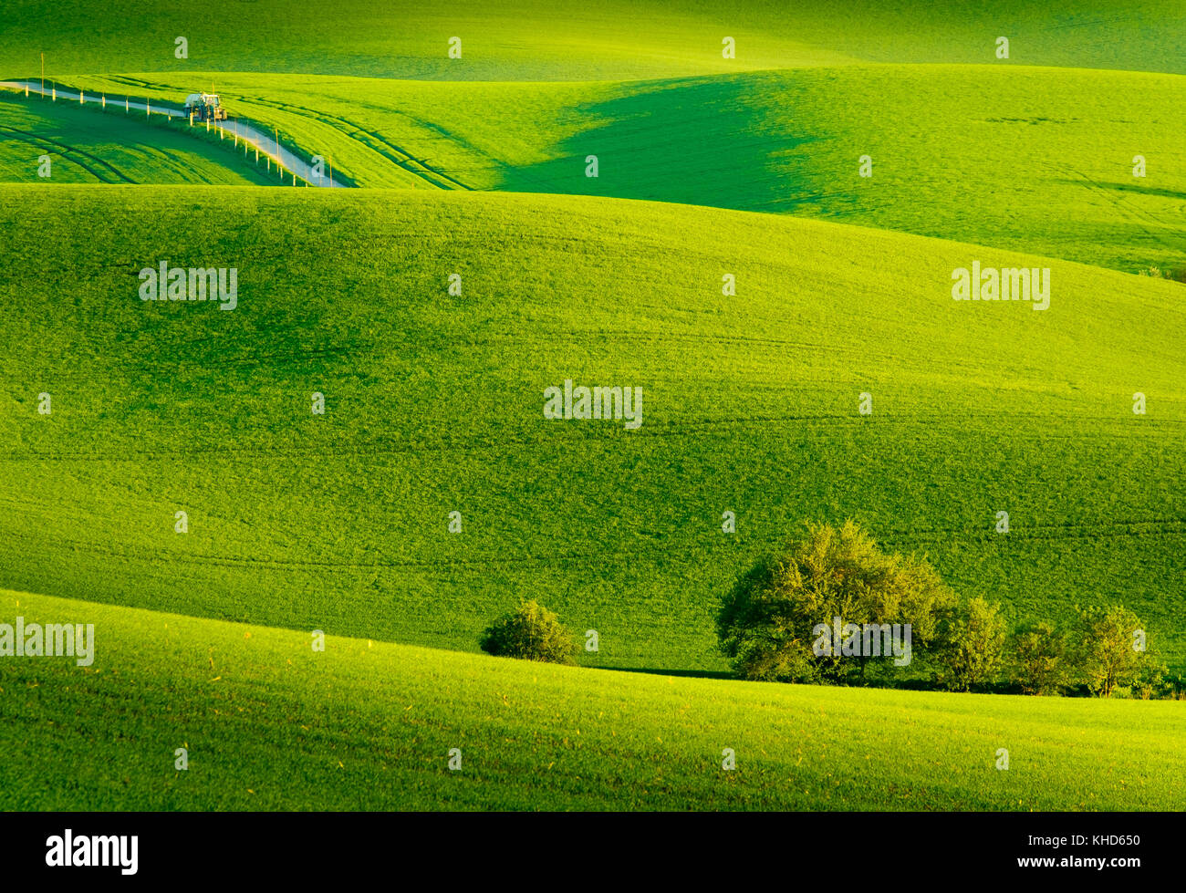Green wavy hills in South Moravia Stock Photo - Alamy
