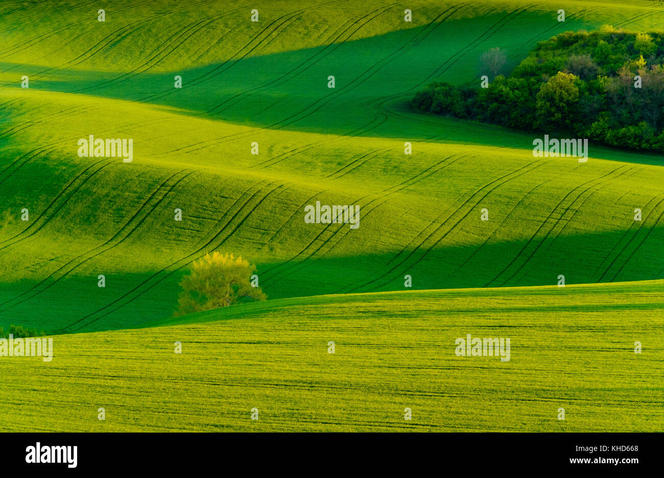 Green wavy hills in South Moravia Stock Photo - Alamy