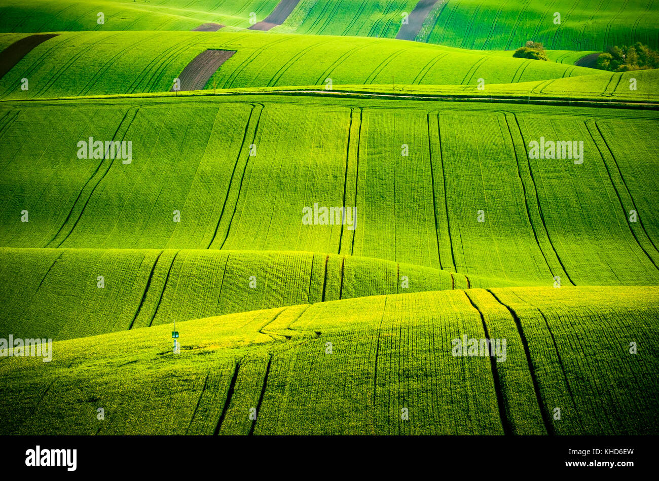 Green wavy hills in South Moravia Stock Photo - Alamy