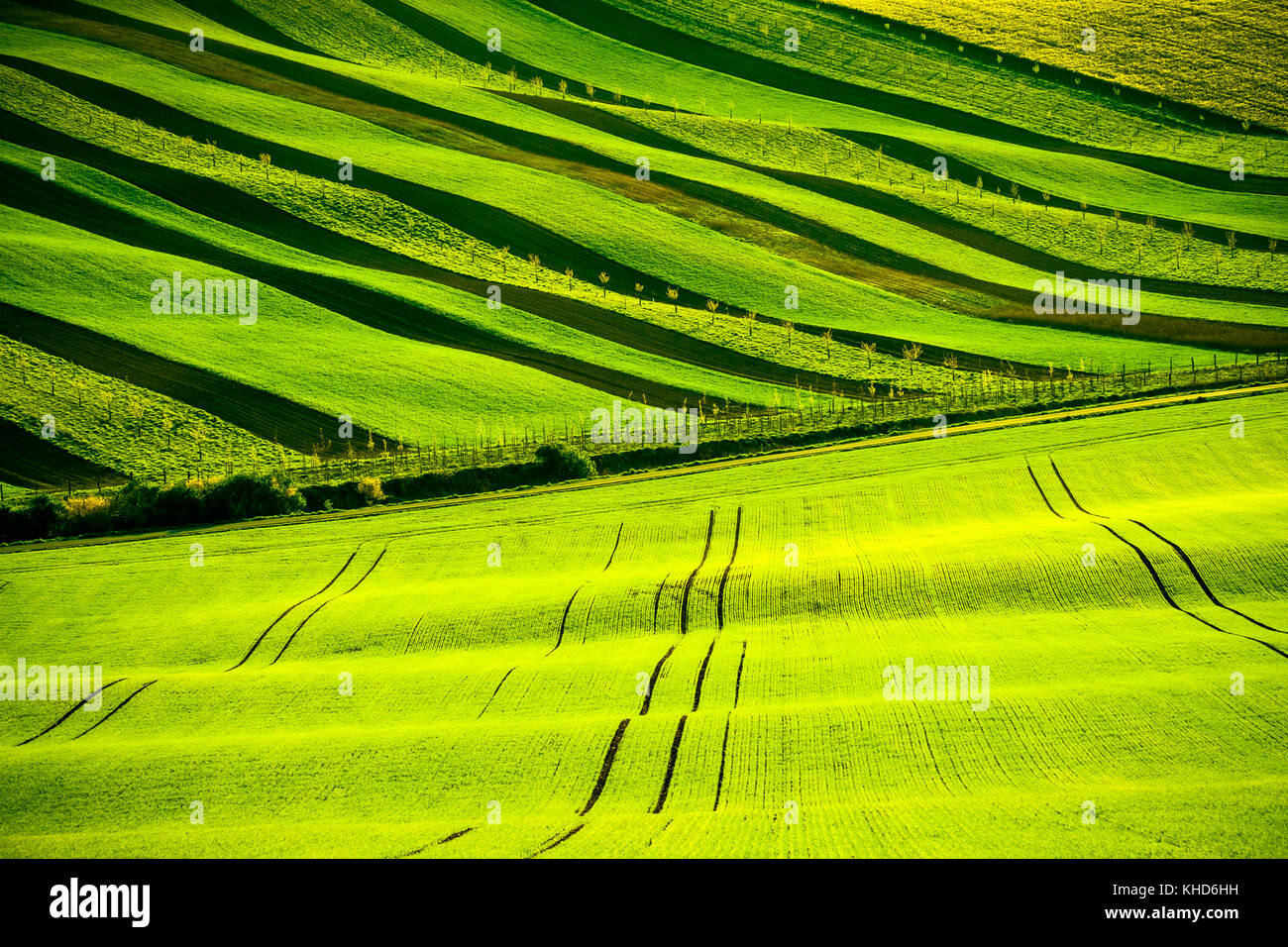 Green wavy hills in South Moravia Stock Photo - Alamy